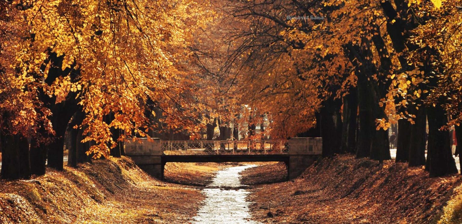 Zlatna jesen - spoj tradicije i novih početaka - Hotel Fontana